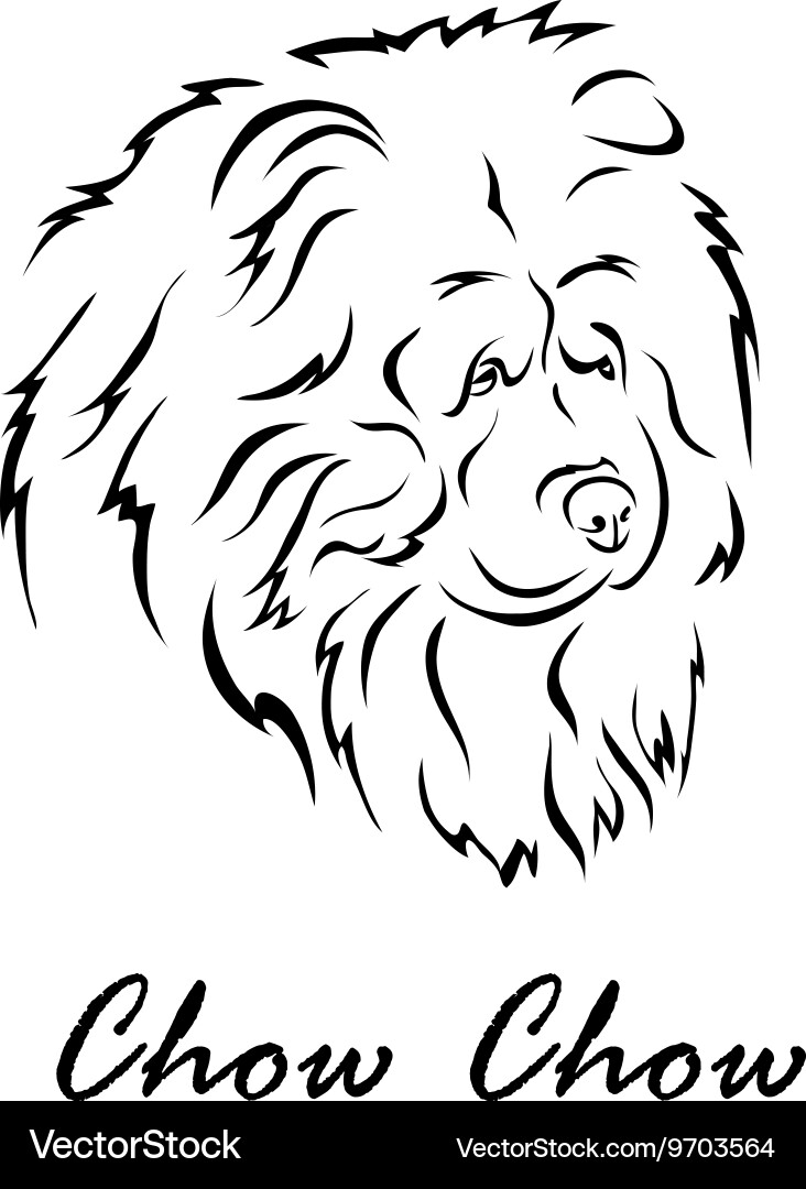 Chow Royalty Free Vector Image - VectorStock