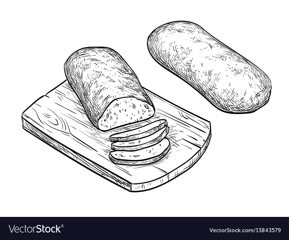 Ciabatta bread Royalty Free Vector Image - VectorStock Ciabatta bread Royalty Free Vector Image - VectorStock