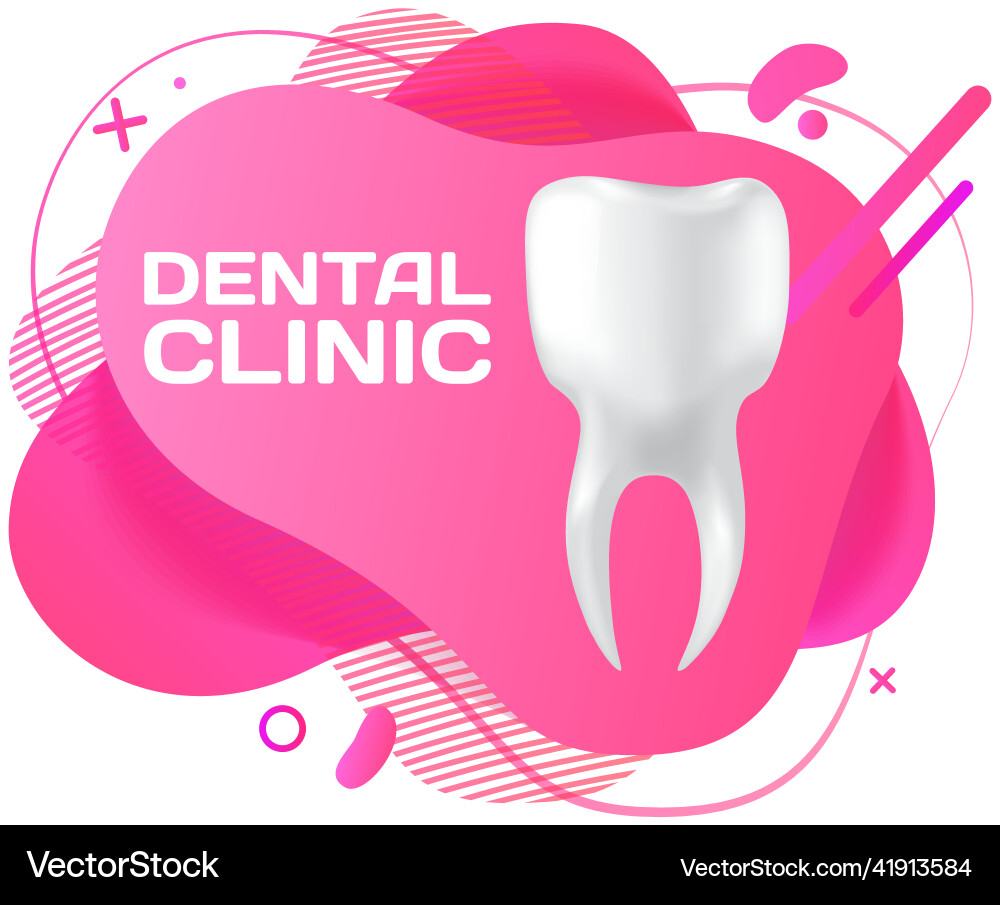Human gum with healthy teeth and denture Vector Image