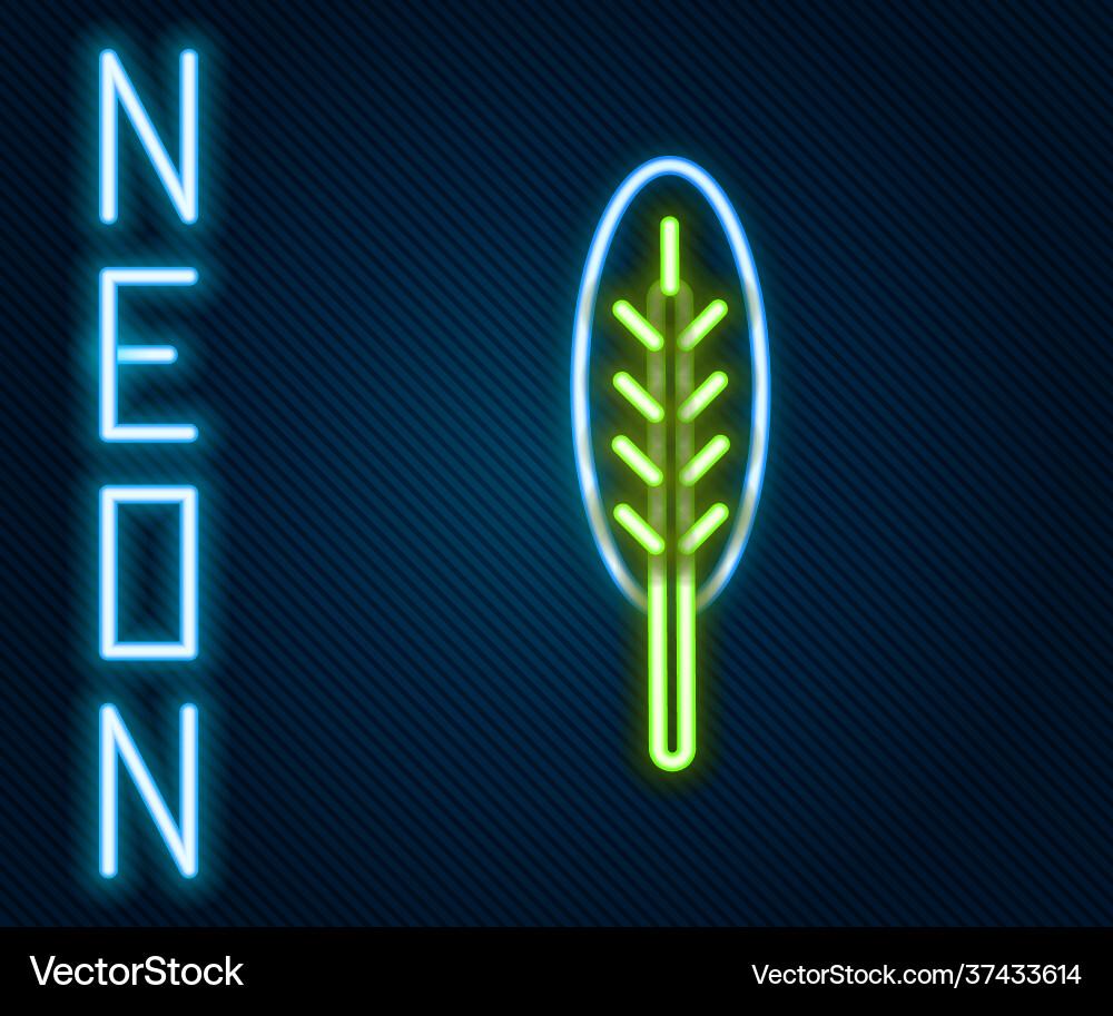 Glowing neon line indian feather icon isolated Vector Image
