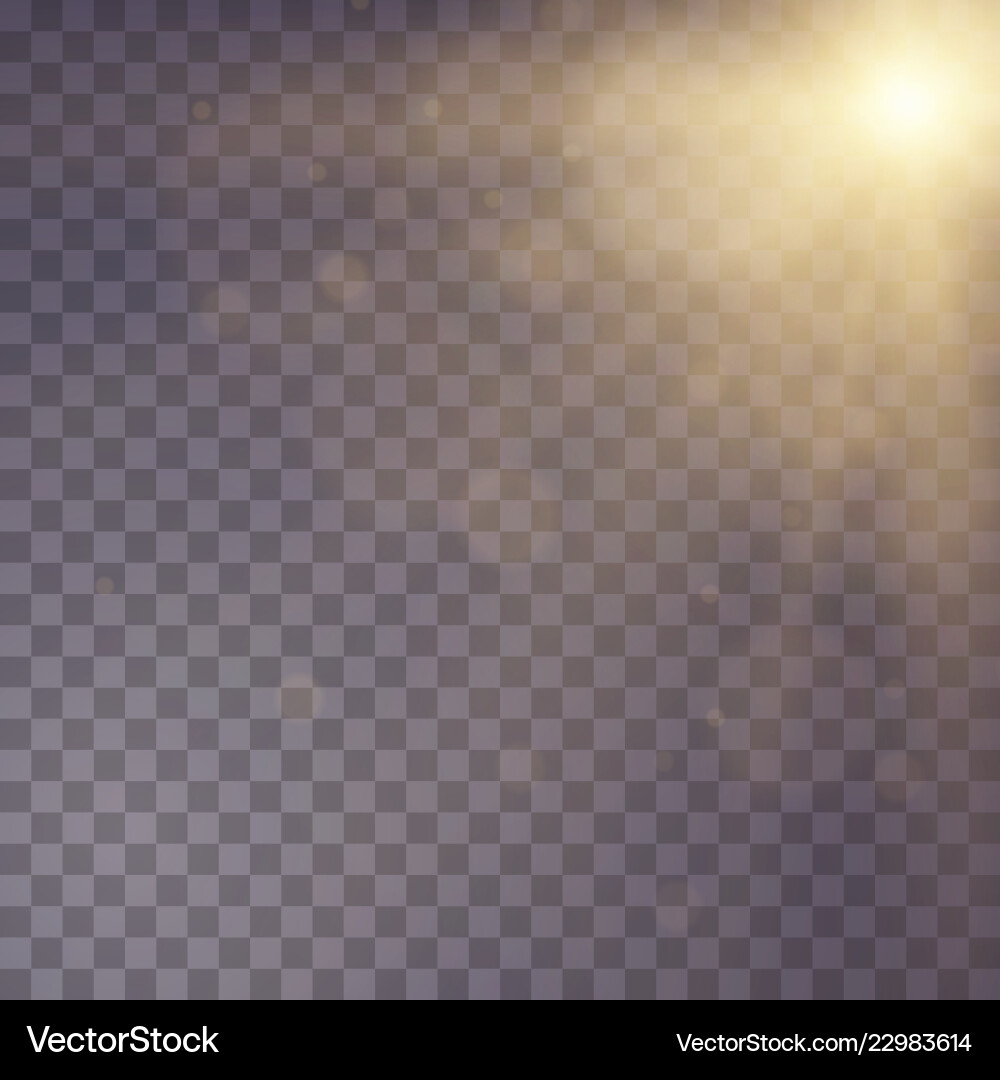Lens flare light effect Royalty Free Vector Image