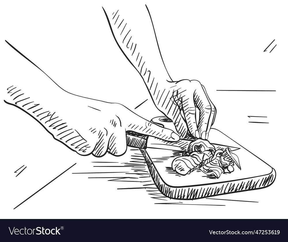 Chopping vegetable Royalty Free Vector Image - VectorStock