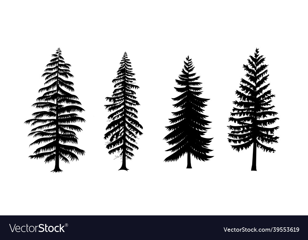 Collection of pine trees Royalty Free Vector Image