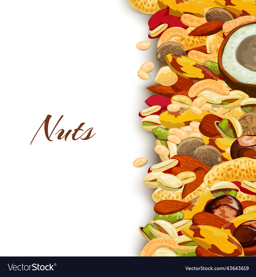 Nuts mix background Royalty Free Vector Image - VectorStock