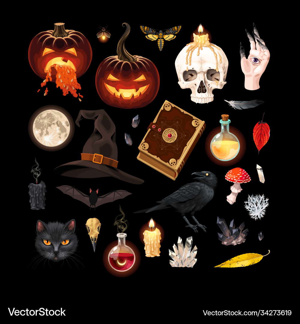 Set pumpkins and magic supplies Royalty Free Vector Image