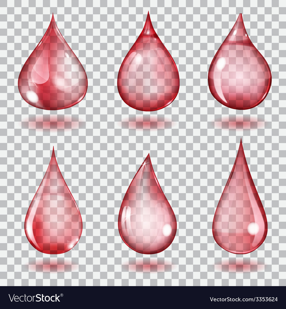 Transparent red drops Royalty Free Vector Image