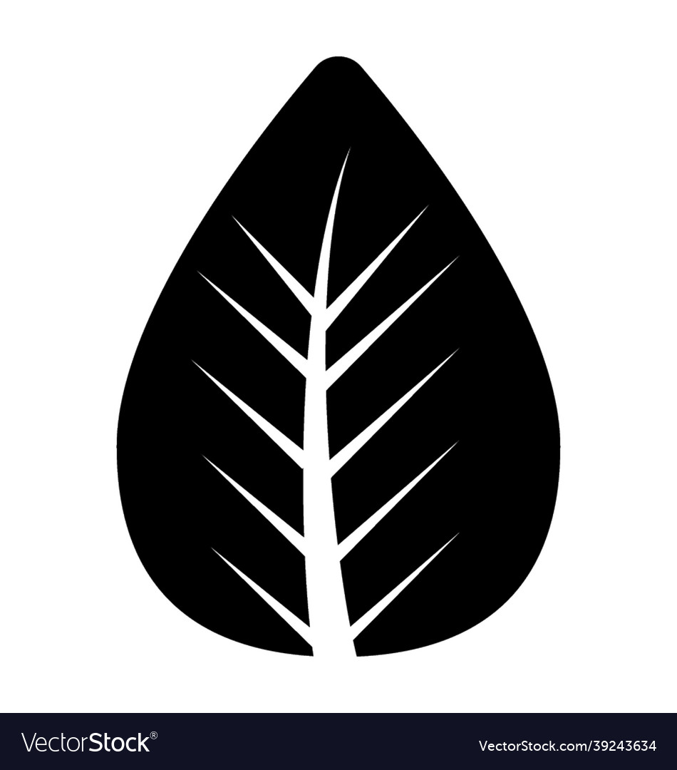 Leaf Royalty Free Vector Image Vectorstock