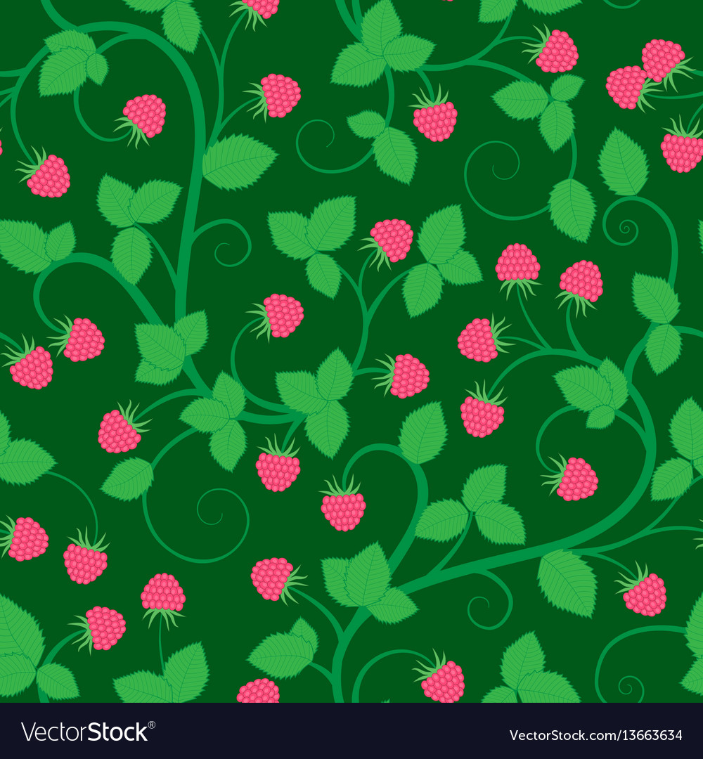 Seamless pattern with raspberry Royalty Free Vector Image