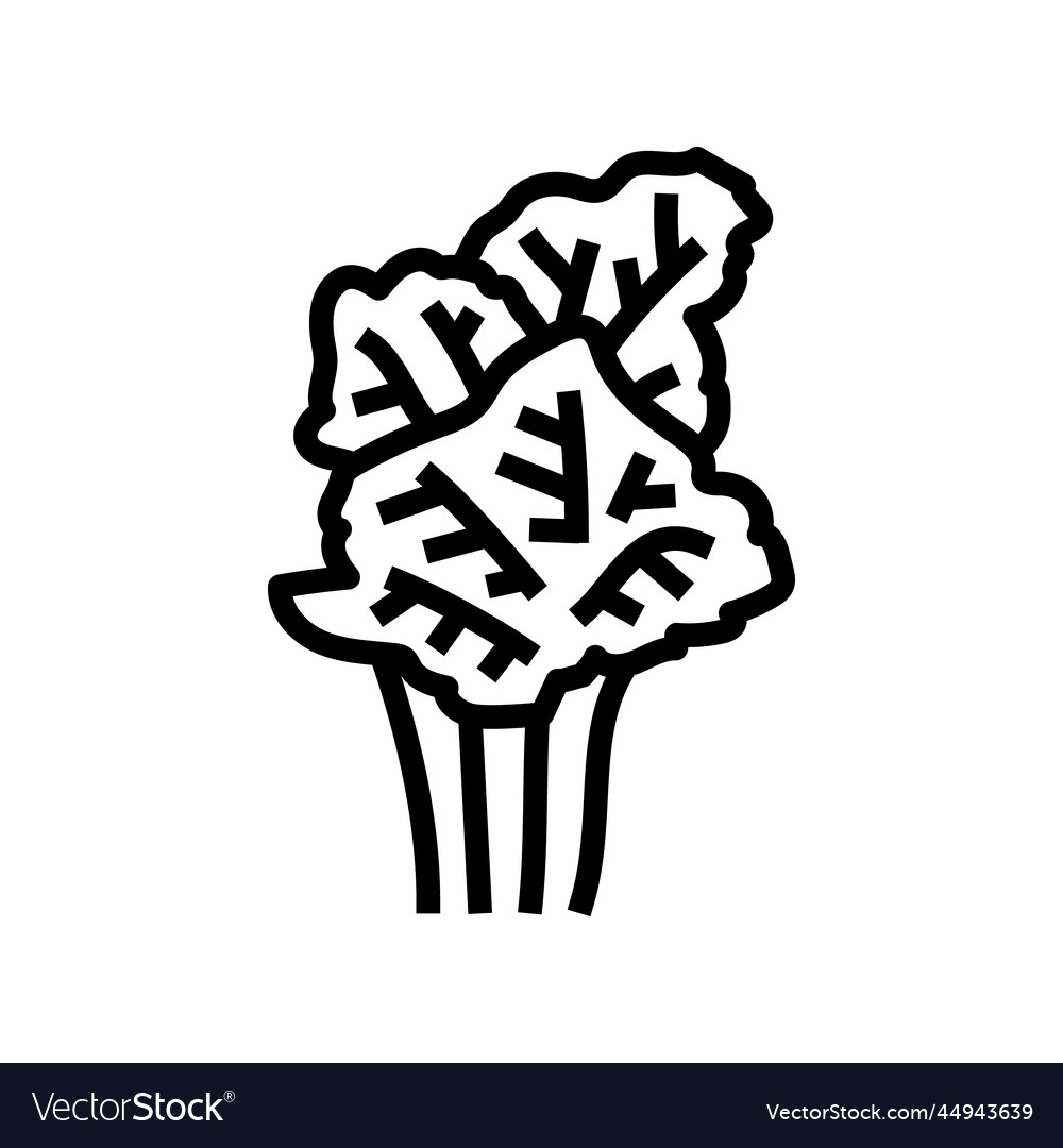 Fishtail palm tree line icon Royalty Free Vector Image Fishtail palm tree line icon Royalty Free Vector Image