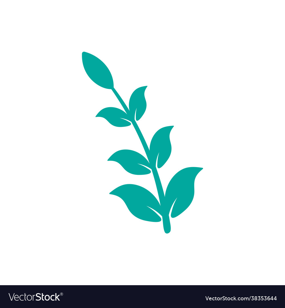 Leaf Grass Icon Design Template Isolated Vector Image