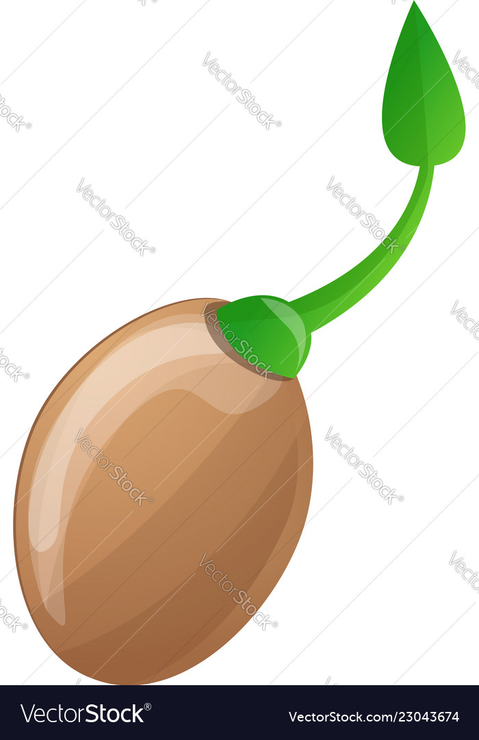 Soy bean icon cartoon style Royalty Free Vector Image Soy bean icon cartoon style Royalty Free Vector Image