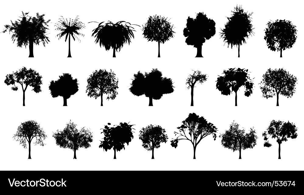 Trees Royalty Free Vector Image - VectorStock