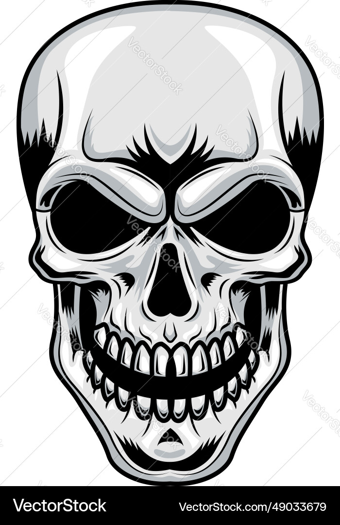 Human skull graphic logo design Royalty Free Vector Image