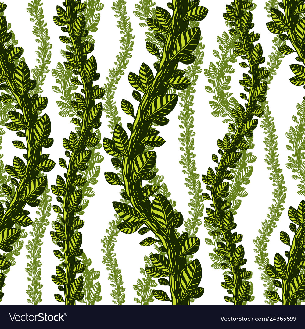Floral seamless pattern with leaves and branches Vector Image