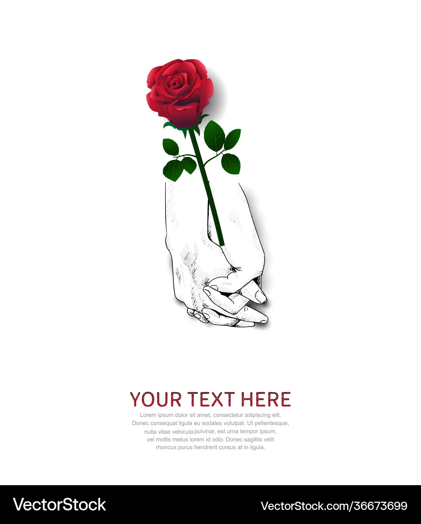Hand holding design drawn and rose isolated Vector Image