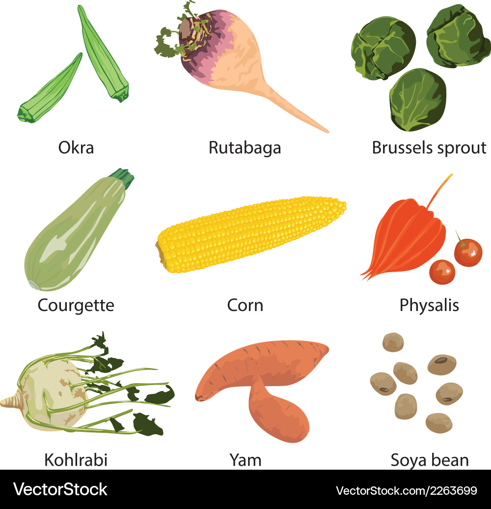 Set of 9 vegetables Royalty Free Vector Image - VectorStock