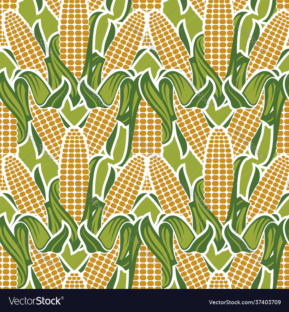 Corn seamless pattern Royalty Free Vector Image