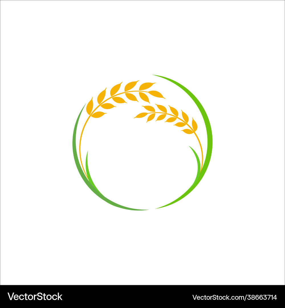 Agriculture wheat rice icon design Royalty Free Vector Image