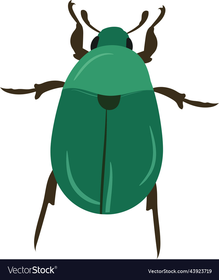 Beetle Royalty Free Vector Image - VectorStock