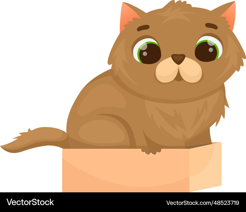 Funny kitten sit in small box cartoon cat Vector Image