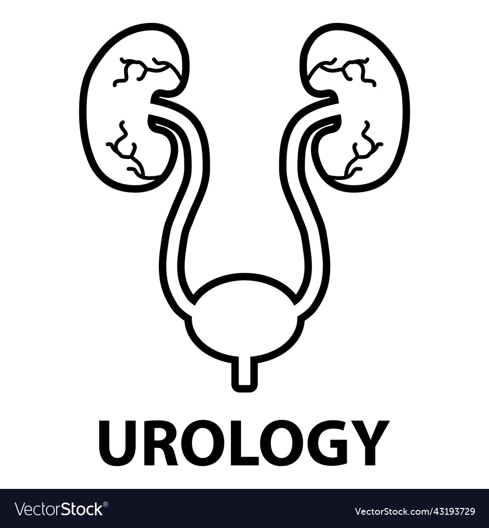 Urology health human icon anatomy medical body Vector Image Urology health human icon anatomy medical body Vector Image