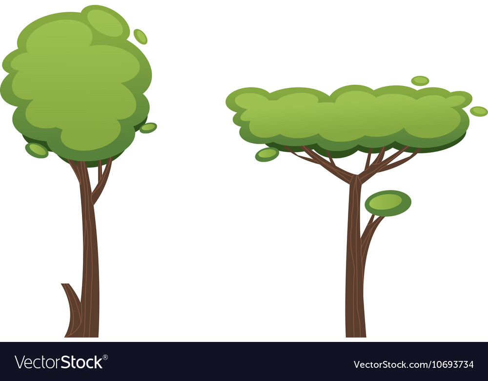 Cartoon tree Royalty Free Vector Image - VectorStock