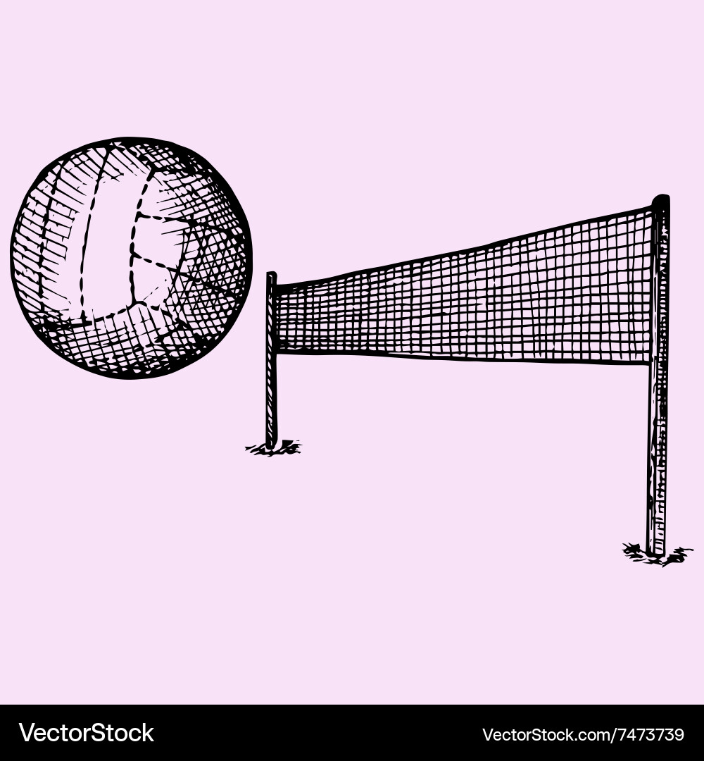 Volleyball ball net Royalty Free Vector Image - VectorStock