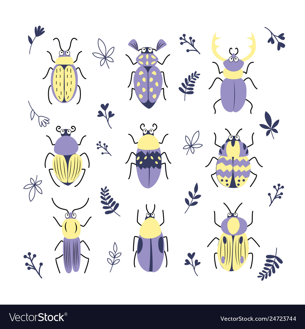 Cute decorative set different doodle bugs Vector Image