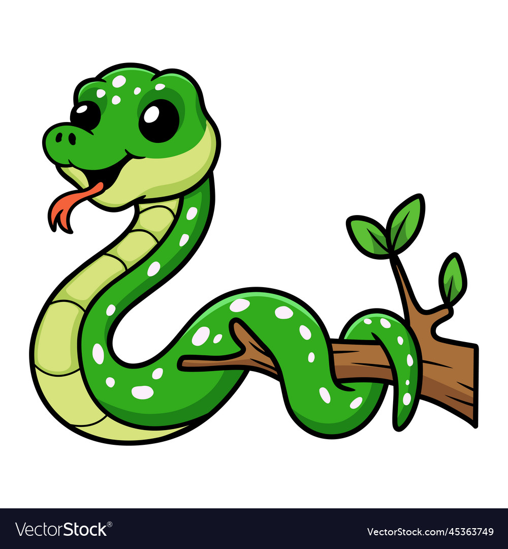 Cute green tree python cartoon on branch Vector Image