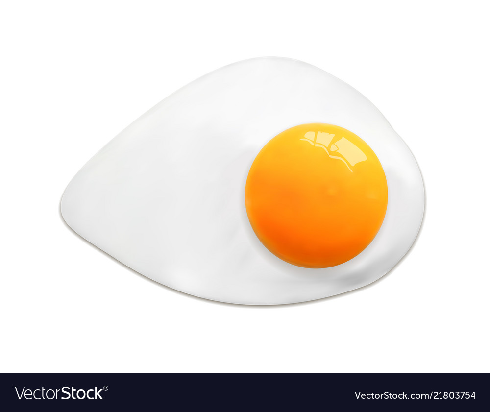 Fried Egg Fast Food Cooking Lunch Dinner Vector Image
