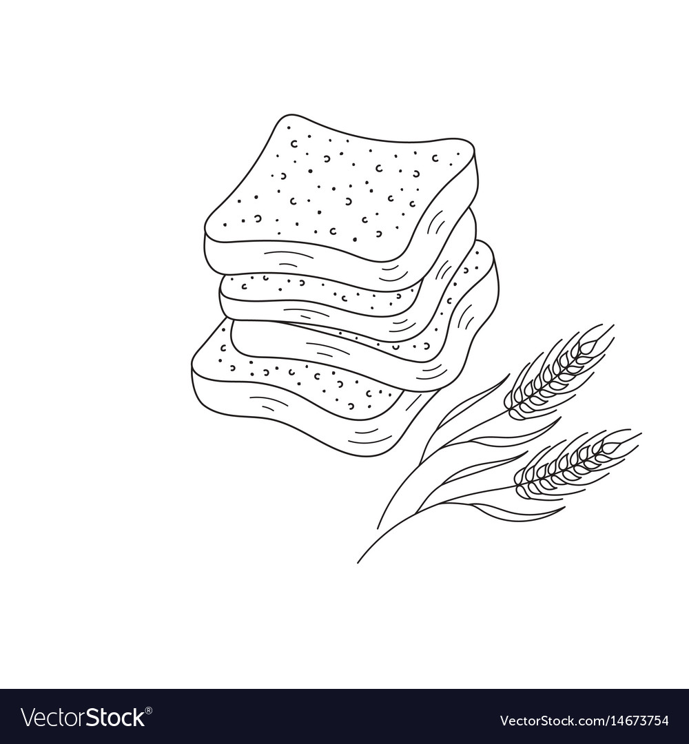 Sliced bread Royalty Free Vector Image - VectorStock