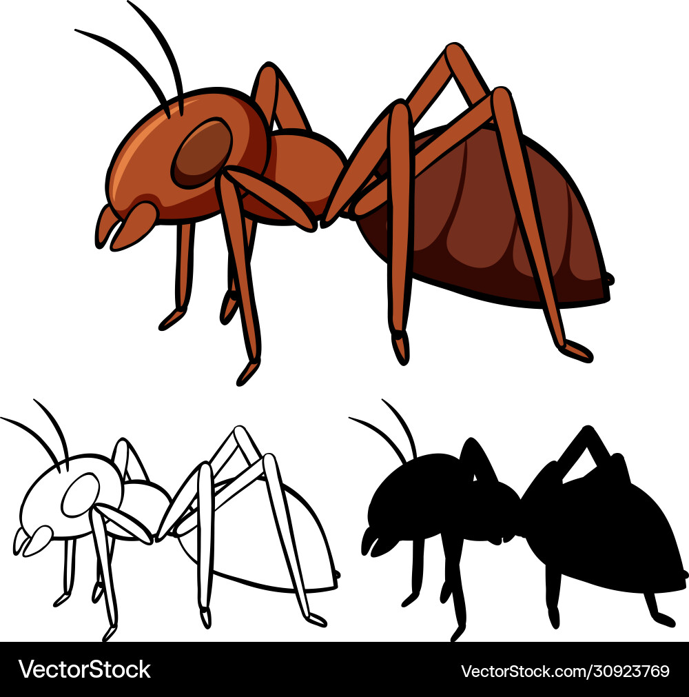 Set ant cartoon Royalty Free Vector Image - VectorStock