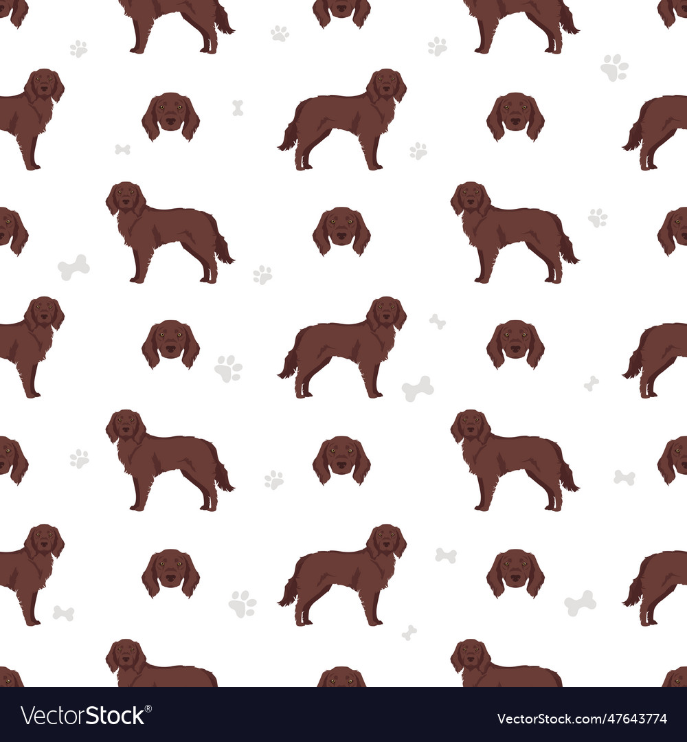 German longhaired pointer seamless pattern Vector Image