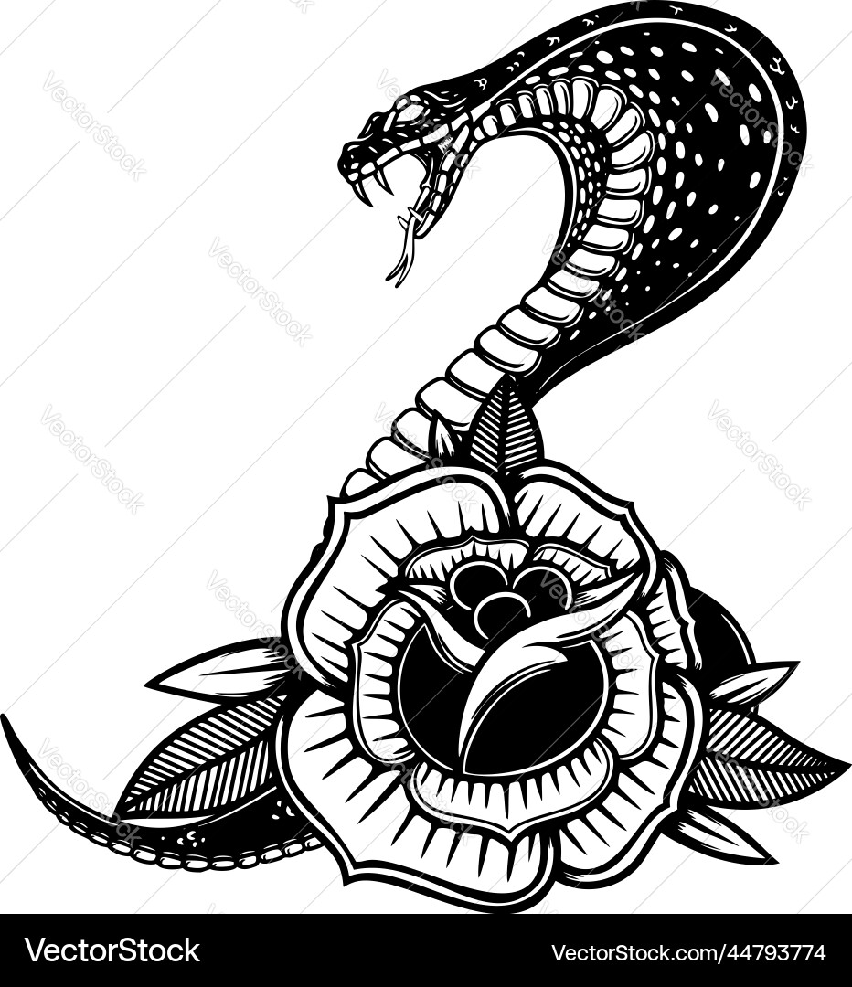 Snake on the background with roses design element Vector Image