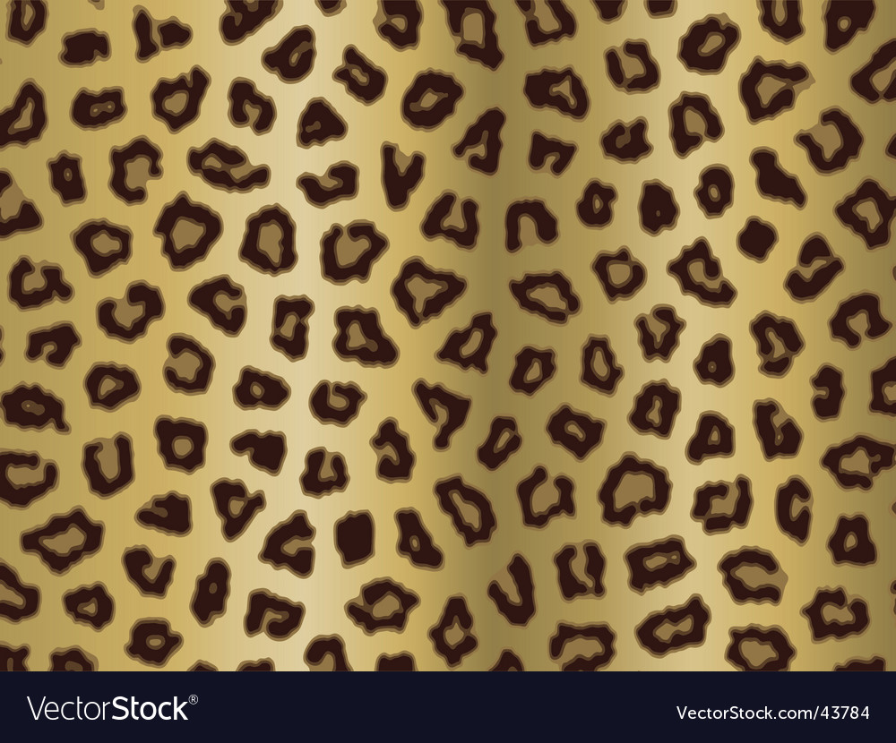 Leopard print Royalty Free Vector Image - VectorStock