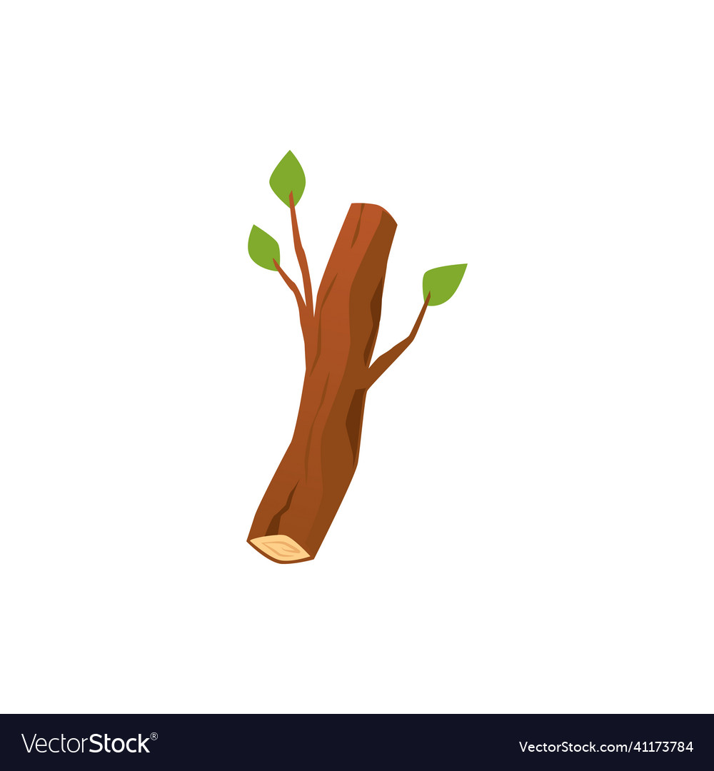 Part of cut tree trunk with branches flat Vector Image