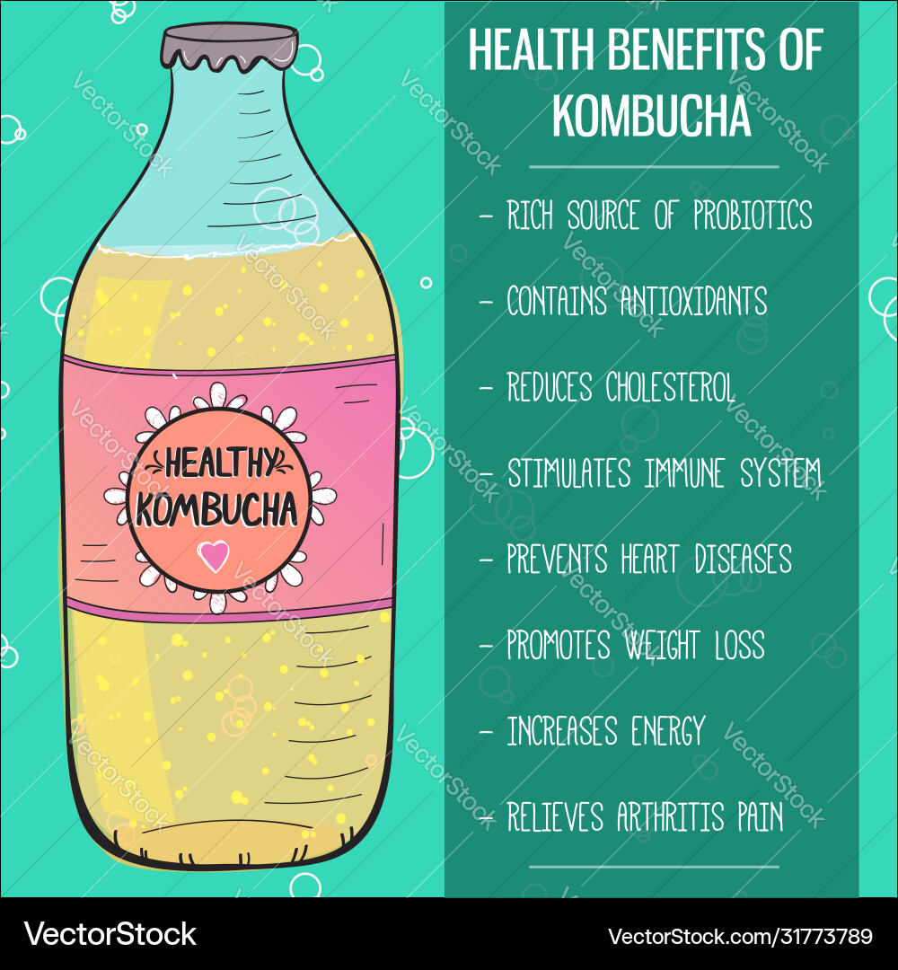 Hand drawn bottle kombucha drink with list Vector Image