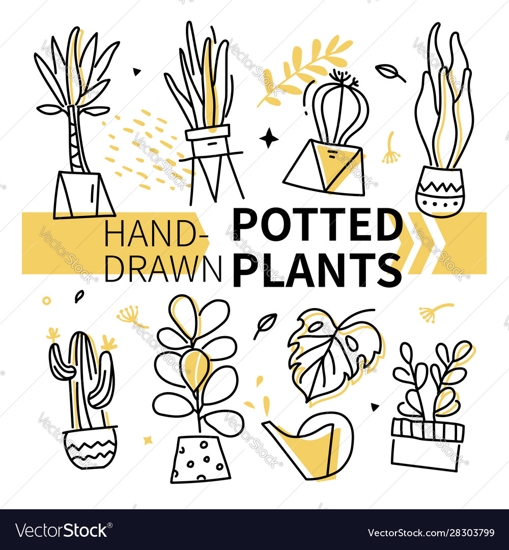 Hand Drawn Potted Plants Collection Set Vector Image