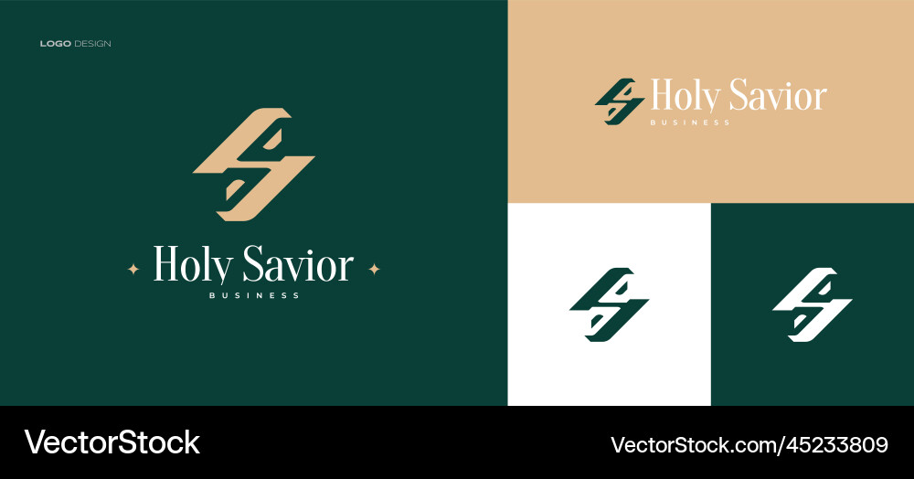 Abstract initial h and s logo design Royalty Free Vector