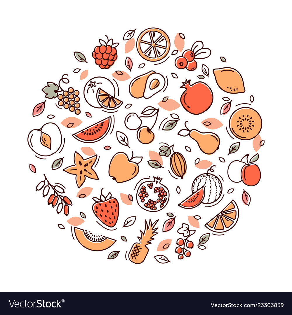Circle fruit set Royalty Free Vector Image - VectorStock