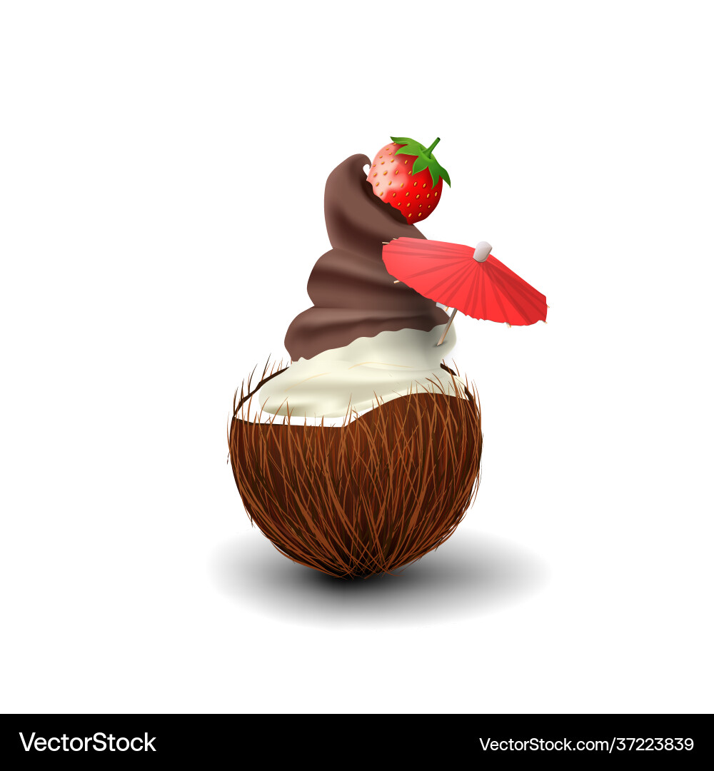 Ice cream in coconut isolated on white background Vector Image