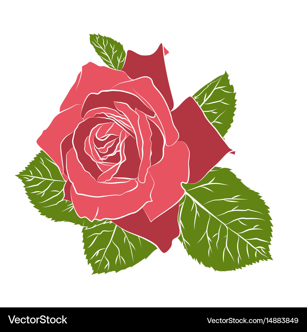 Beautiful hand drawn stencil rose isolated Vector Image