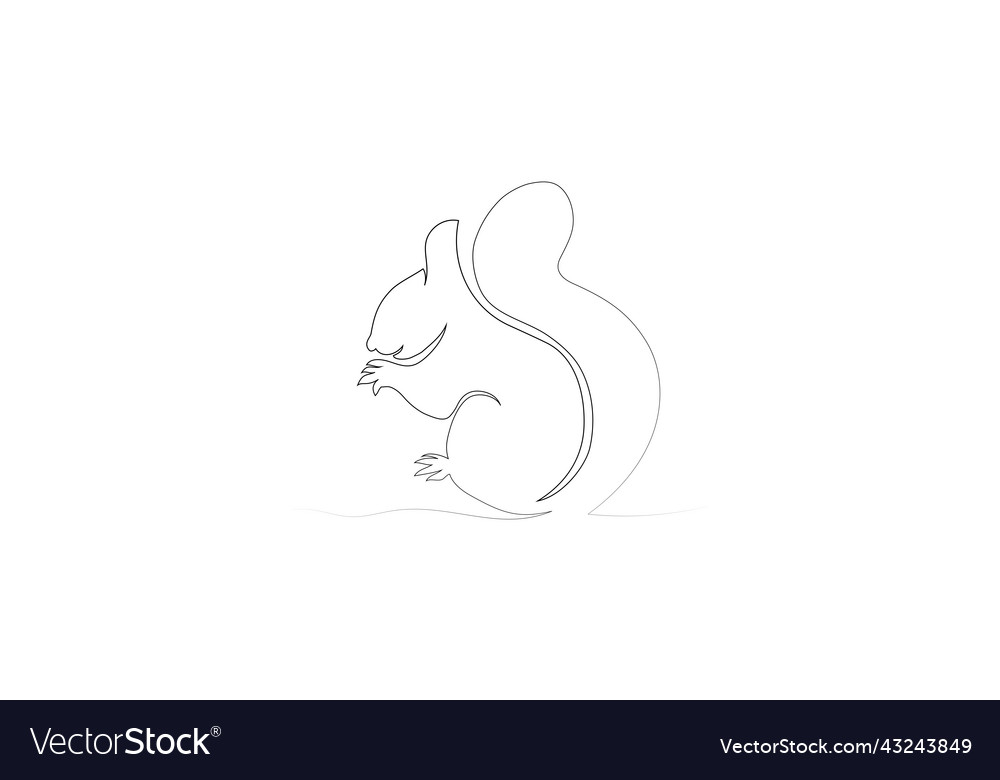 Squirrel Royalty Free Vector Image - VectorStock