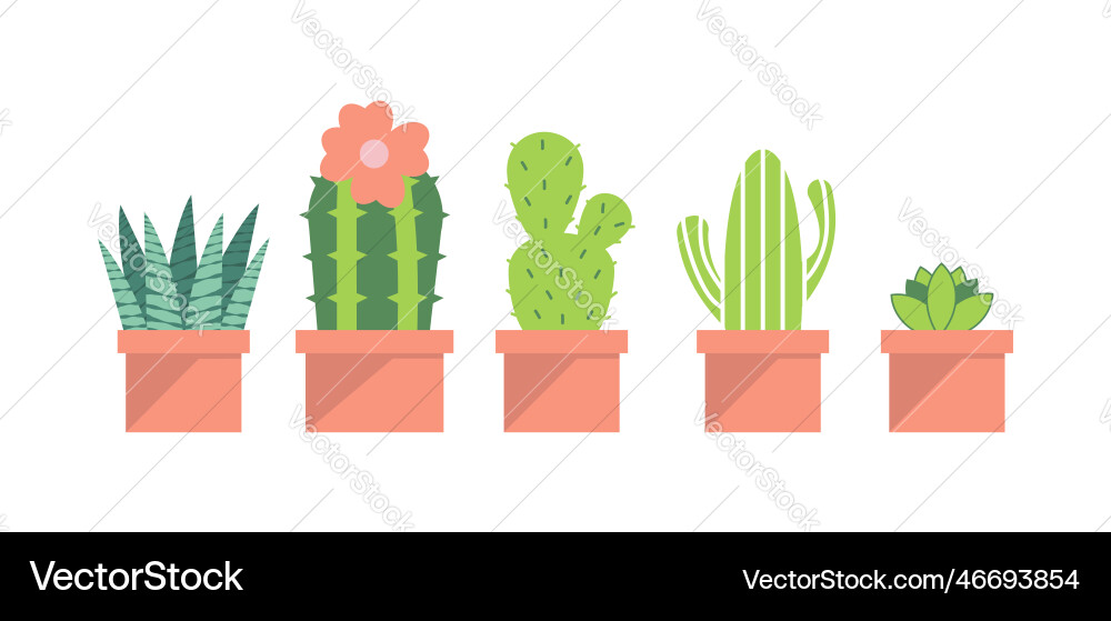 Doodle cactus plants set Royalty Free Vector Image