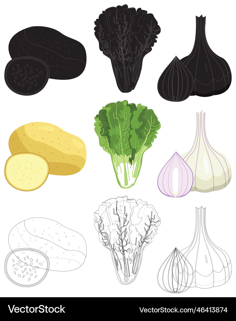 Fruits and vegetables designs Royalty Free Vector Image