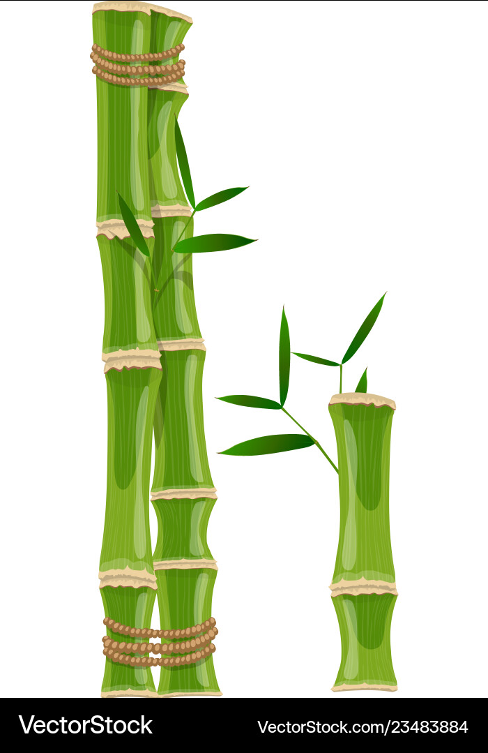 Bamboo letter i Royalty Free Vector Image - VectorStock