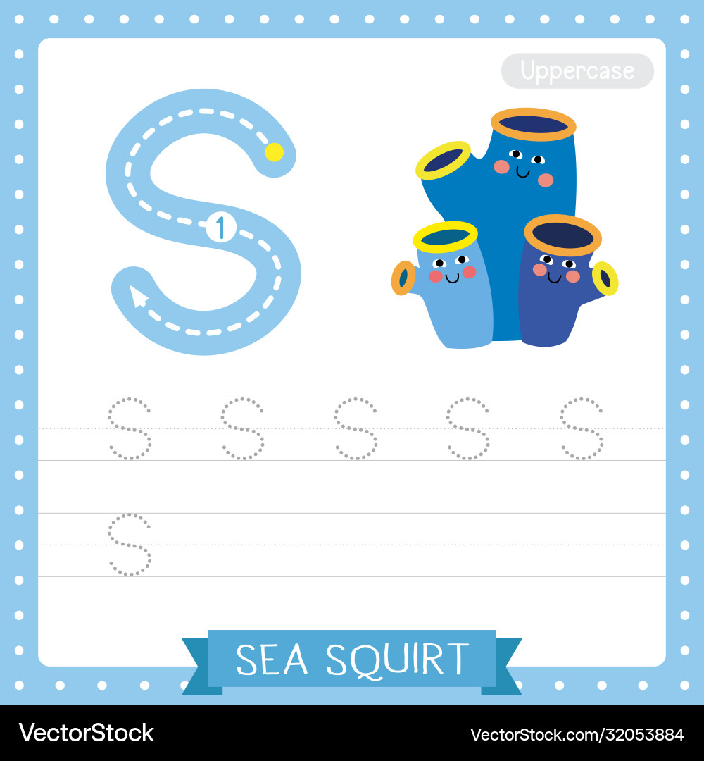 Letter s uppercase tracing practice worksheet Vector Image