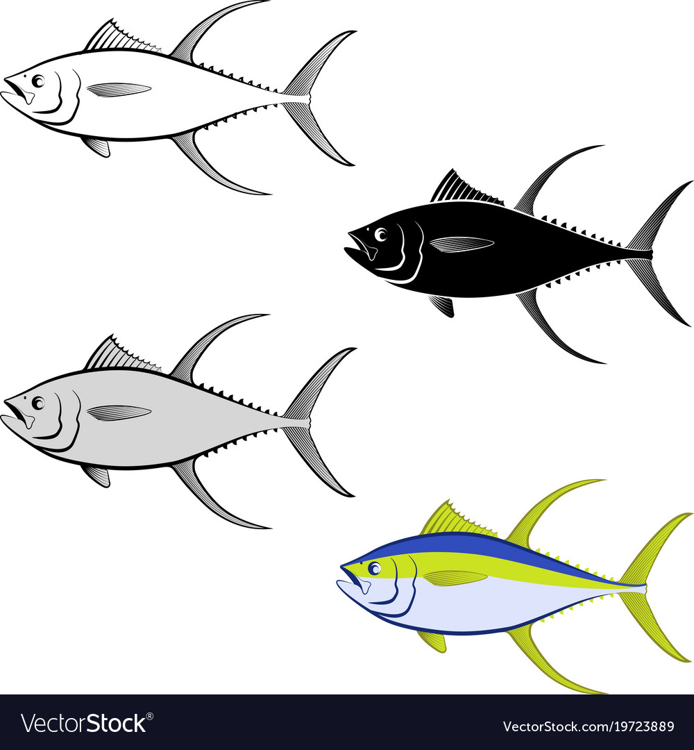 Tuna Royalty Free Vector Image - VectorStock Tuna Royalty Free Vector Image - VectorStock