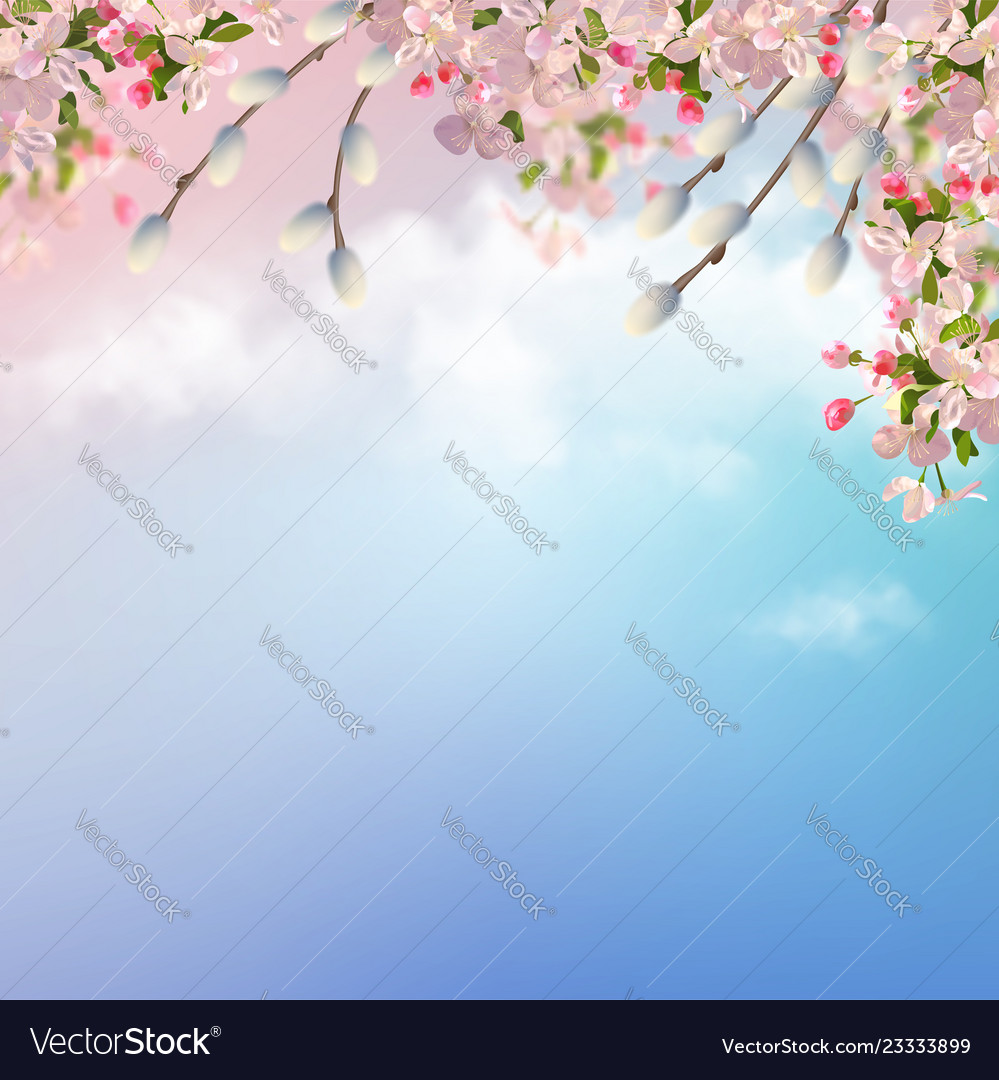 Spring background Royalty Free Vector Image - VectorStock