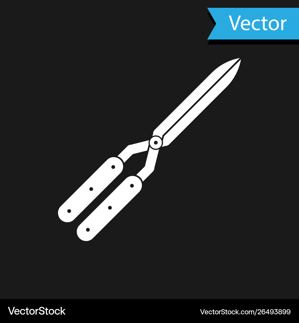 White gardening handmade scissors for trimming Vector Image